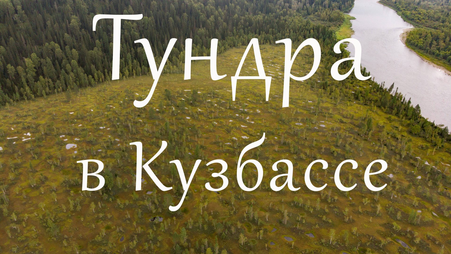 Тундра в Кузбассе