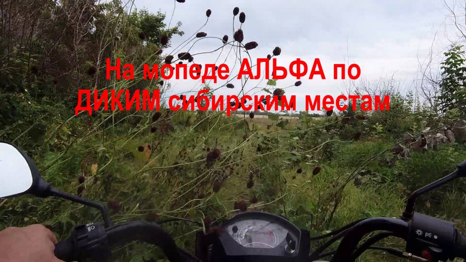 На мопеде АЛЬФА по ДИКИМ сибирским местам.