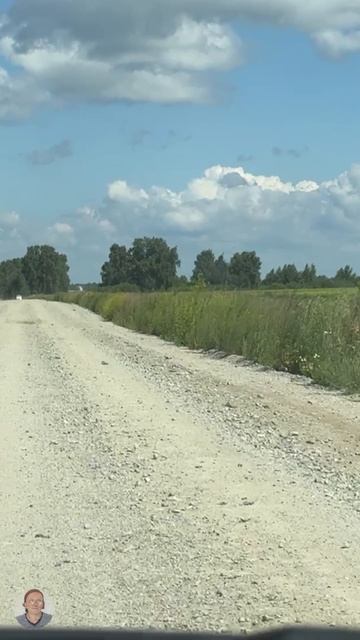 Дорога в СНТ Тимер #дорога #челябинскаяобласть #снттимер