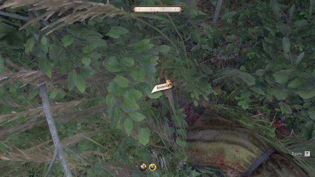 Kingdom Come: Deliverance II ( Жёсткий режим) 12-я серия