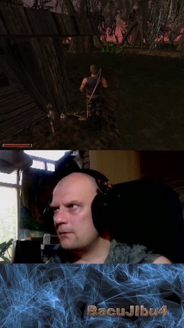 🍀⚡#Shorts⚡🍀Gothic🍀Легкие интересности со стримов🍀