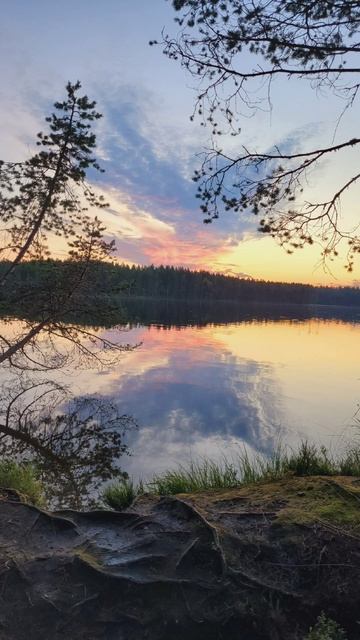 Карелия 2023. Озеро Ала-Лаваярви. Август 2023г