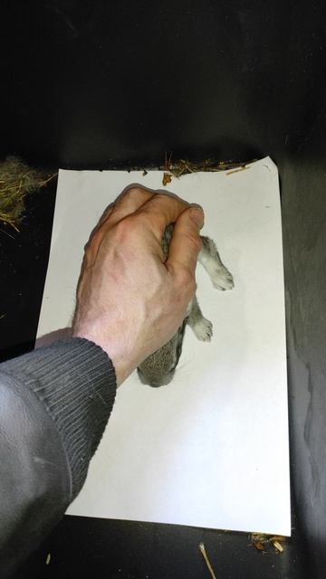 Артист описался