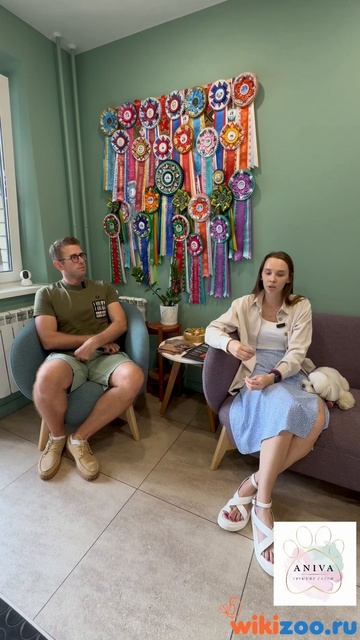 Анастасия Иванова: "Путь от ветеринара до грумера". ВЫПУСК 2