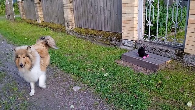 Вик и страшная штука )) 7 месяцев, август 25