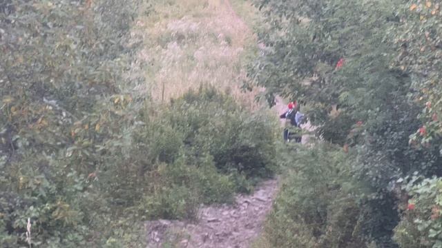 CAIDI 150 обычный день