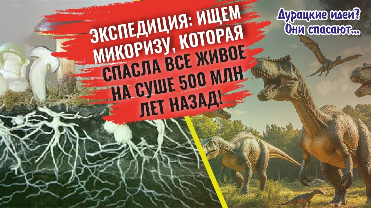 Третья экспедиция на Ладогу за бесконечно ценной Кормилицей Микоризой