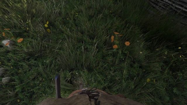 Kingdom Come: Deliverance II ( Жёсткий режим) 2-я серия