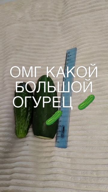Огурец 🥒 в 3 раза больше чем лабубу😱😱😱