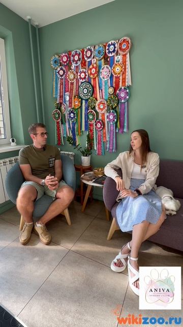 На вопросы отвечает Анастасия Иванова: "Расширение бизнеса", ВЫПУСК 1