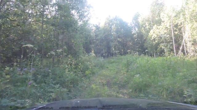 Р242/243-Мартыново, июль 2025