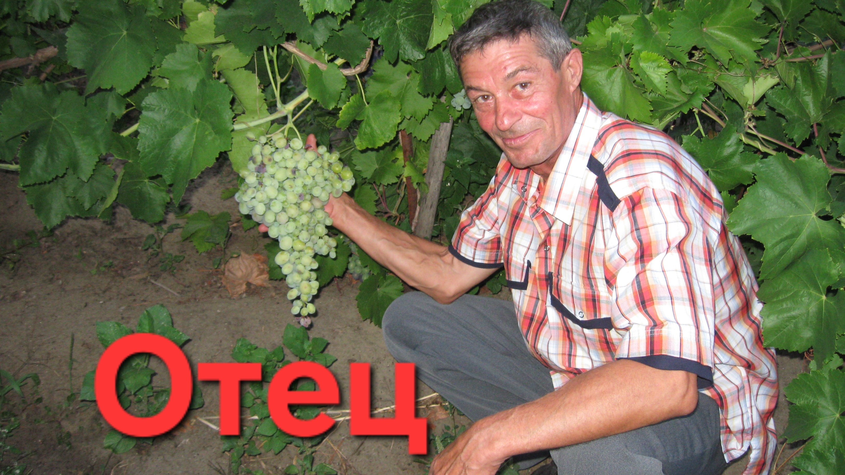 Отец (слова)