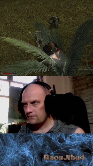 🍀⚡#Shorts⚡🍀Gothic🍀Легкие интересности со стримов🍀