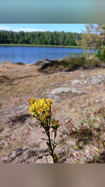 Поход на Вуоксу 🏕️