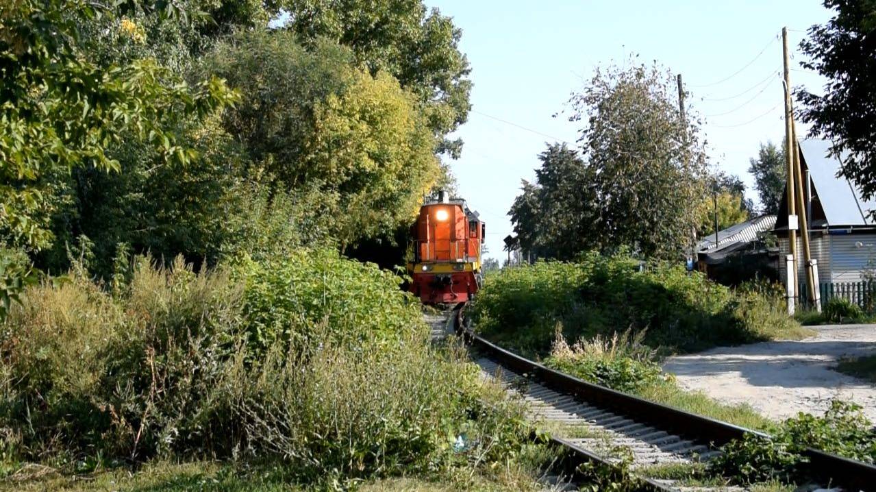 Тепловозы ТЭМ18ДМ-1198 и ТЭМ2-5136