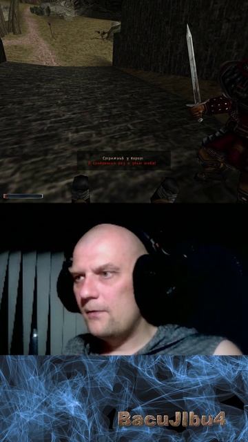 🍀⚡#Shorts⚡🍀Gothic🍀Легкие интересности со стримов🍀