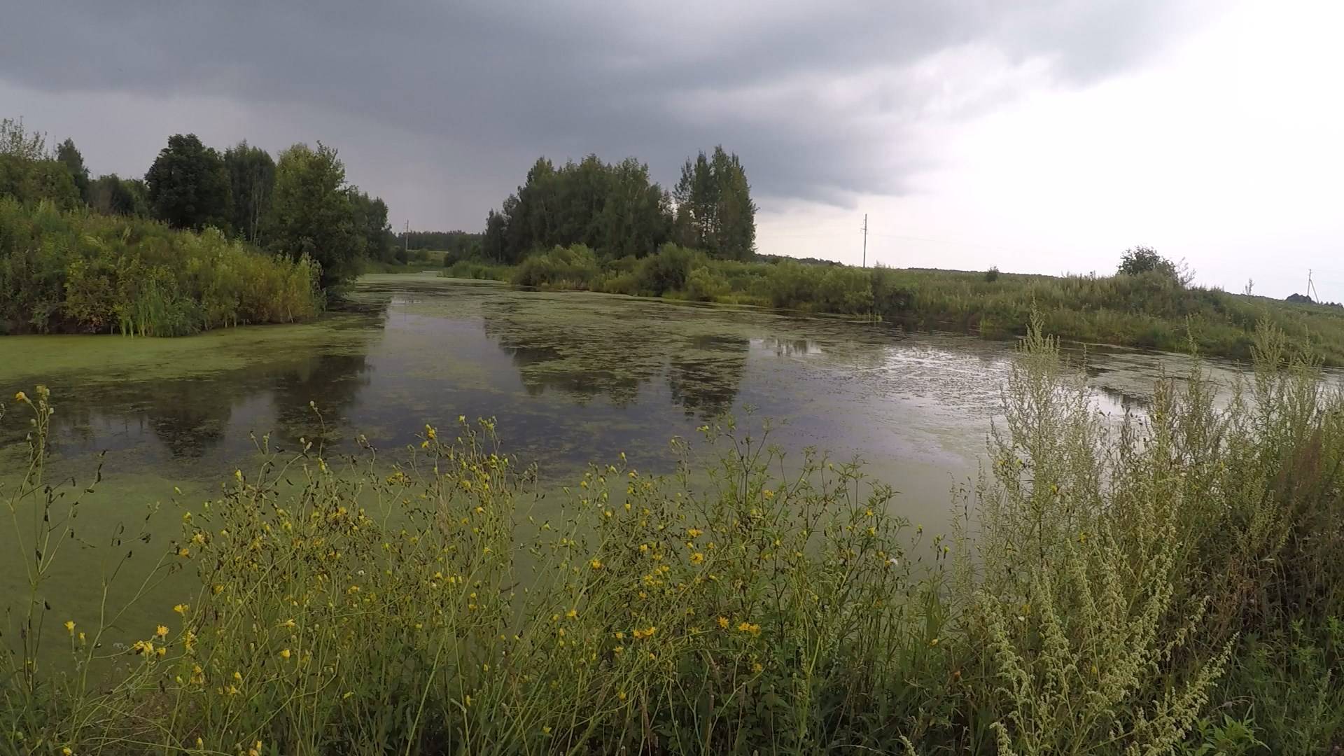 Ещё одно неудачное озеро, всё заросло ряской и тиной да и подъехать сложно после дождя.