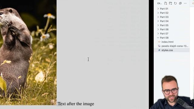 37-08. Embed Images and Style Inline-Block Elements