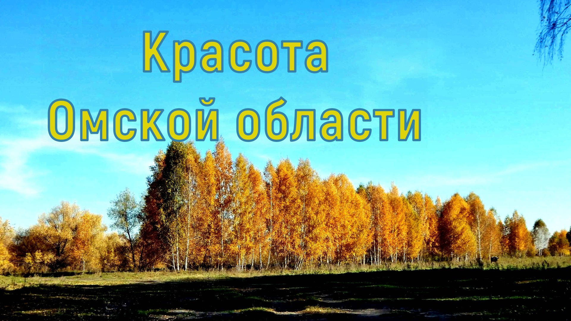 Омск Омская Область