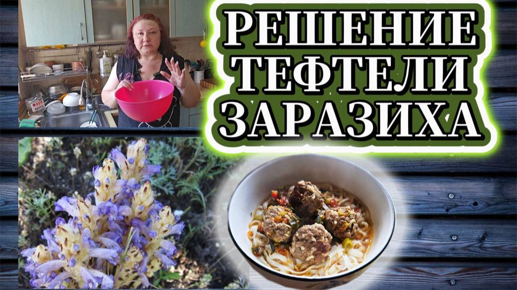 130-25! МОНОВЛОГ/ПРИНЯЛА РЕШЕНИЕ/ТЕФТЕЛИ СО СПАГЕТТИ/ВДРУГ ЗАРАЗИХА В САДУ/SLOW LIFE