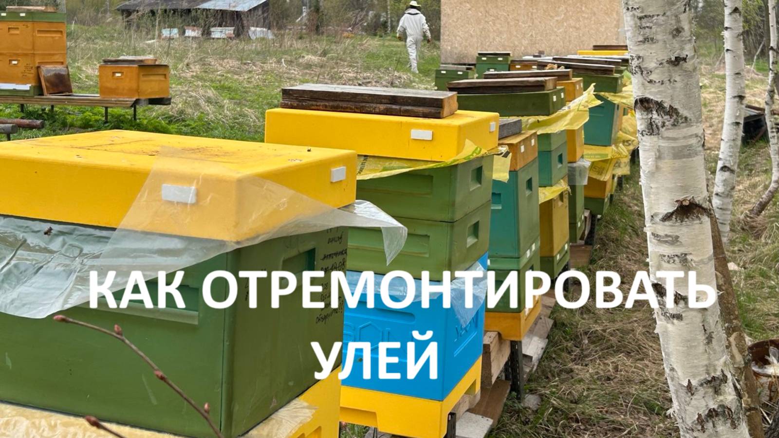 Пчеловодство. Ремонт улья. Мастер-класс.