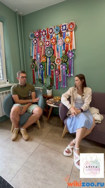 Анастасия Иванова: "Этапы создания салона". ВЫПУСК 3