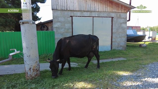 Подводим итоги дня вместе с корреспондентами «Мужи-Информ».