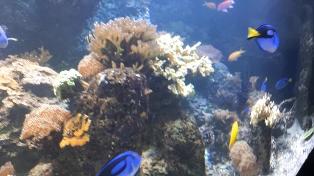 Океанариум - 4