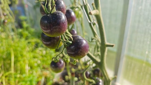 Прощание с летом🤷♂️