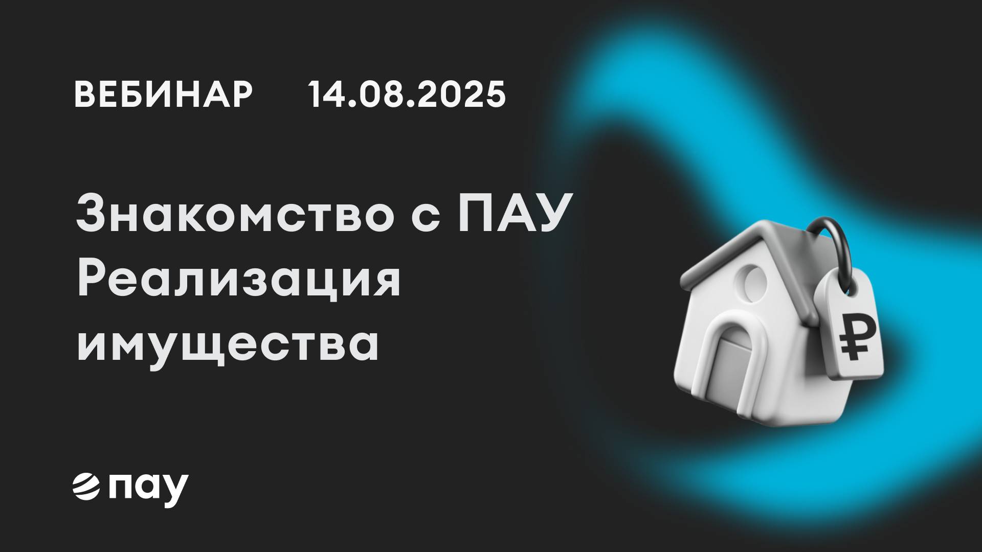 14.08.25, Знакомимся с программой «ПАУ» на примере РИ