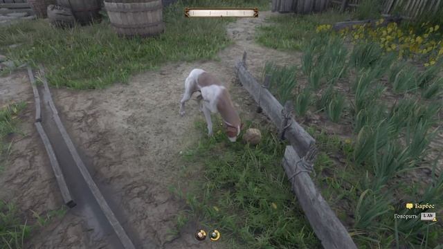 Kingdom Come: Deliverance II ( Жёсткий режим) 10-я серия