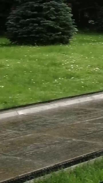 Смена караульных часть 20