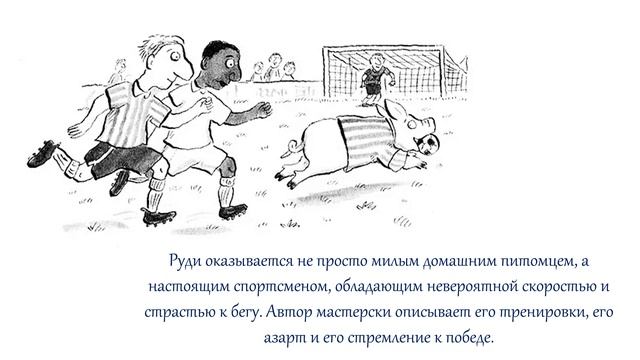 Буктрейлер на книгу Уве Тимма "Руди-Пятачок"