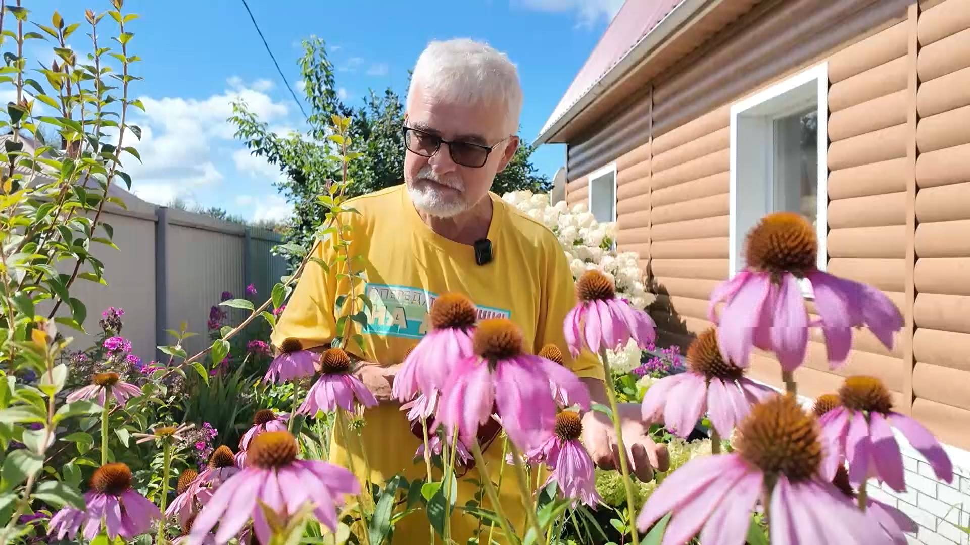 Вперёд, товарищи! На дачу! Выпуск от 12.08.25