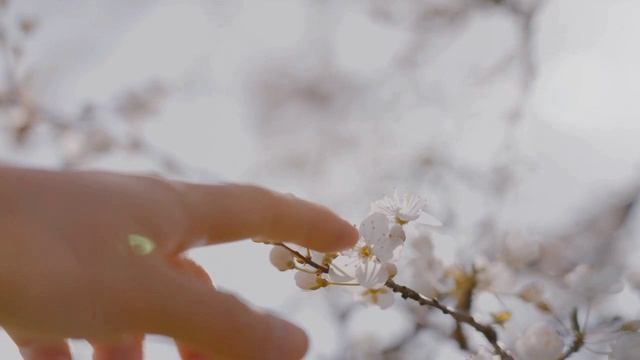 Раскаты грома не пугают (Дуэт)