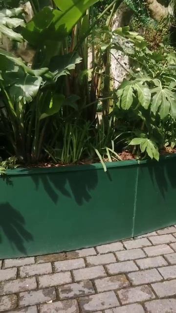 Фонтан ⛲ часть 14