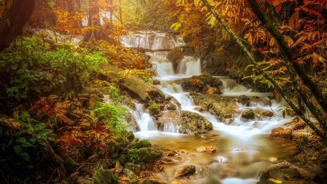 Релакс Для сна / Звуки природы