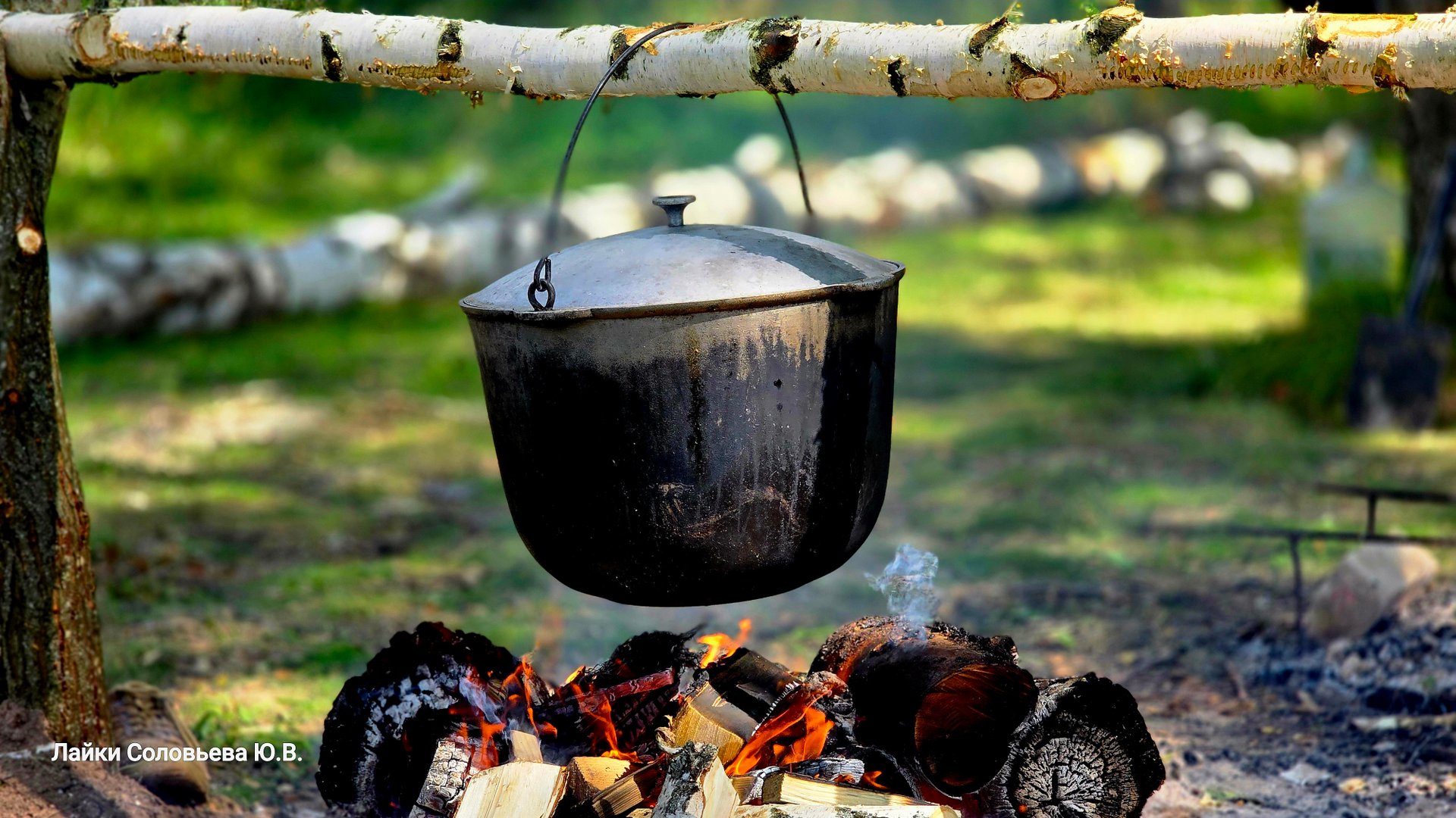 Шурпа из дичи