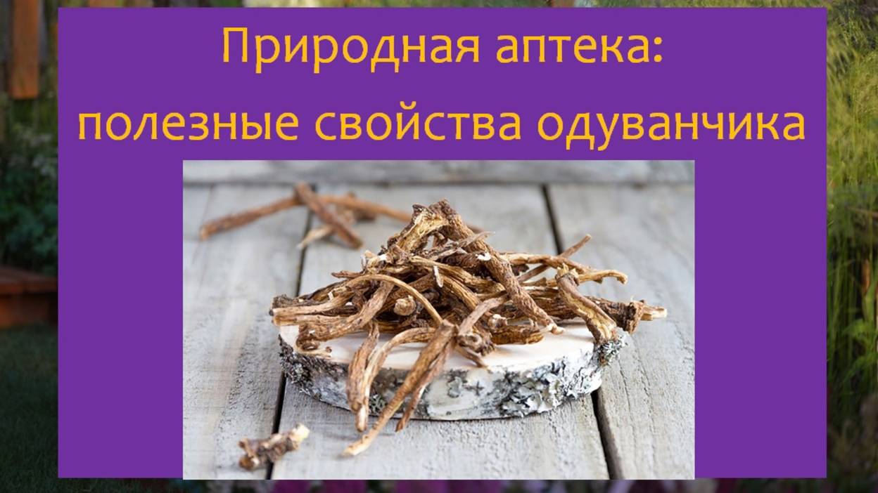 Природная аптека