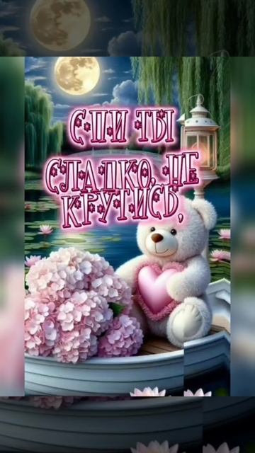 Спокойной ночи