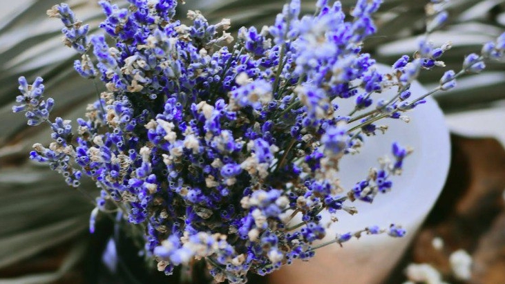 ЧТО ПОМОЖЕТ ВОССТАНОВИТЬ РЕСУРС?