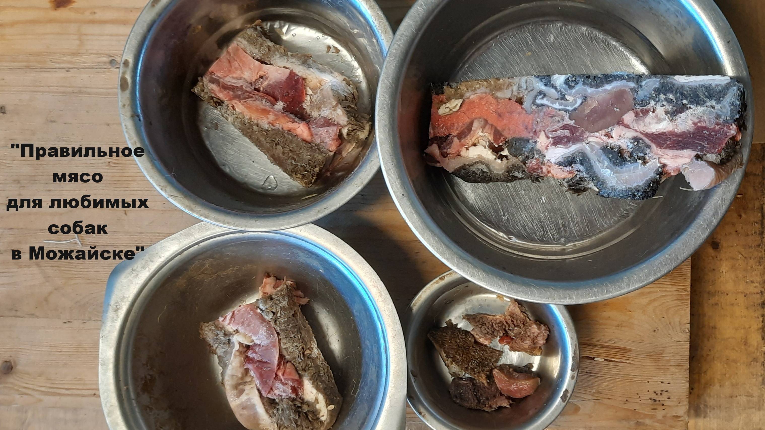 Кормление зверят Правильным мясом-VIII-2025