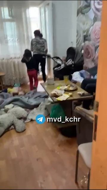 В Черкесске возбуждено уголовное дело в отношении матери шестерых детей за неисполнение обязанностей