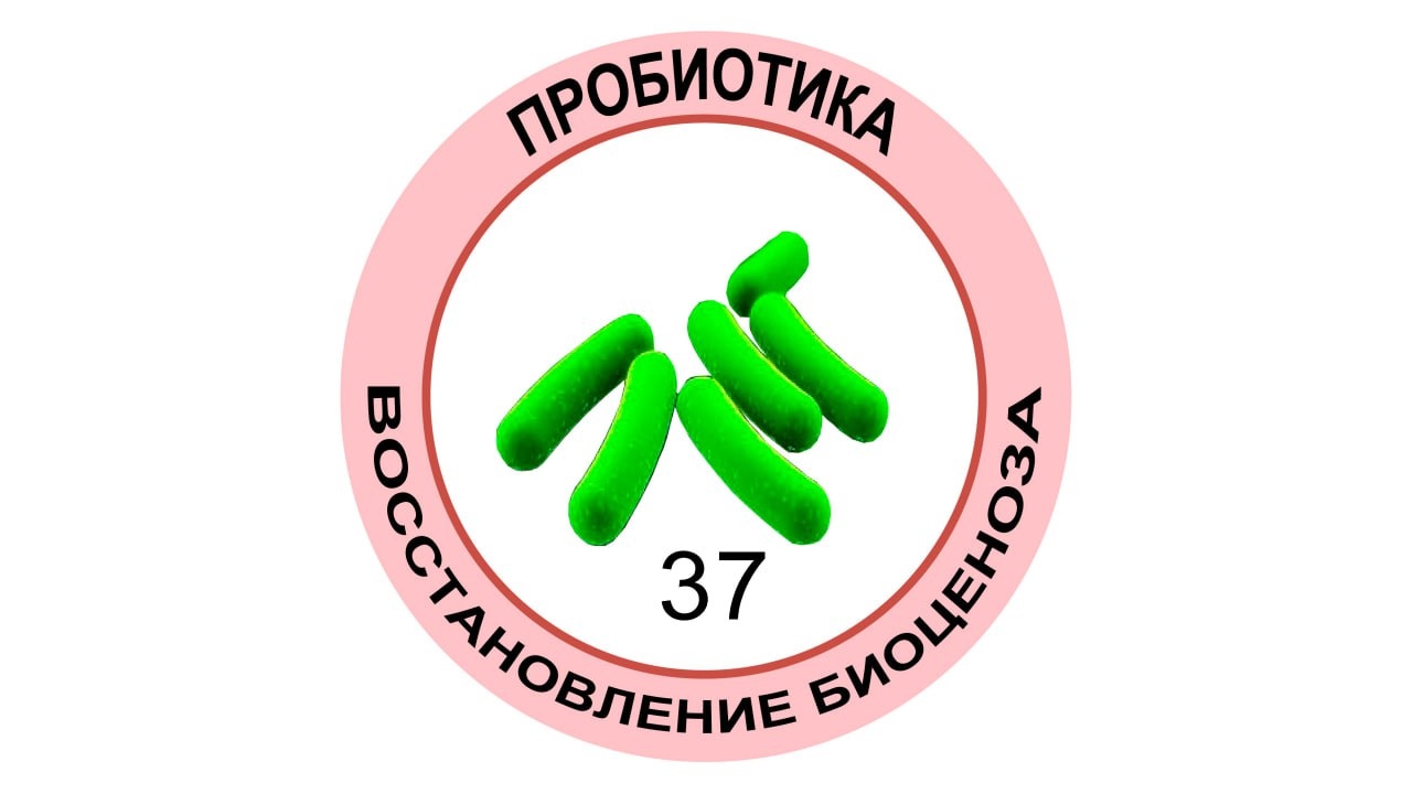 37 МИКРОБЫ НА СЛУЖБЕ. Мультсериал МИКРОБИОМ.