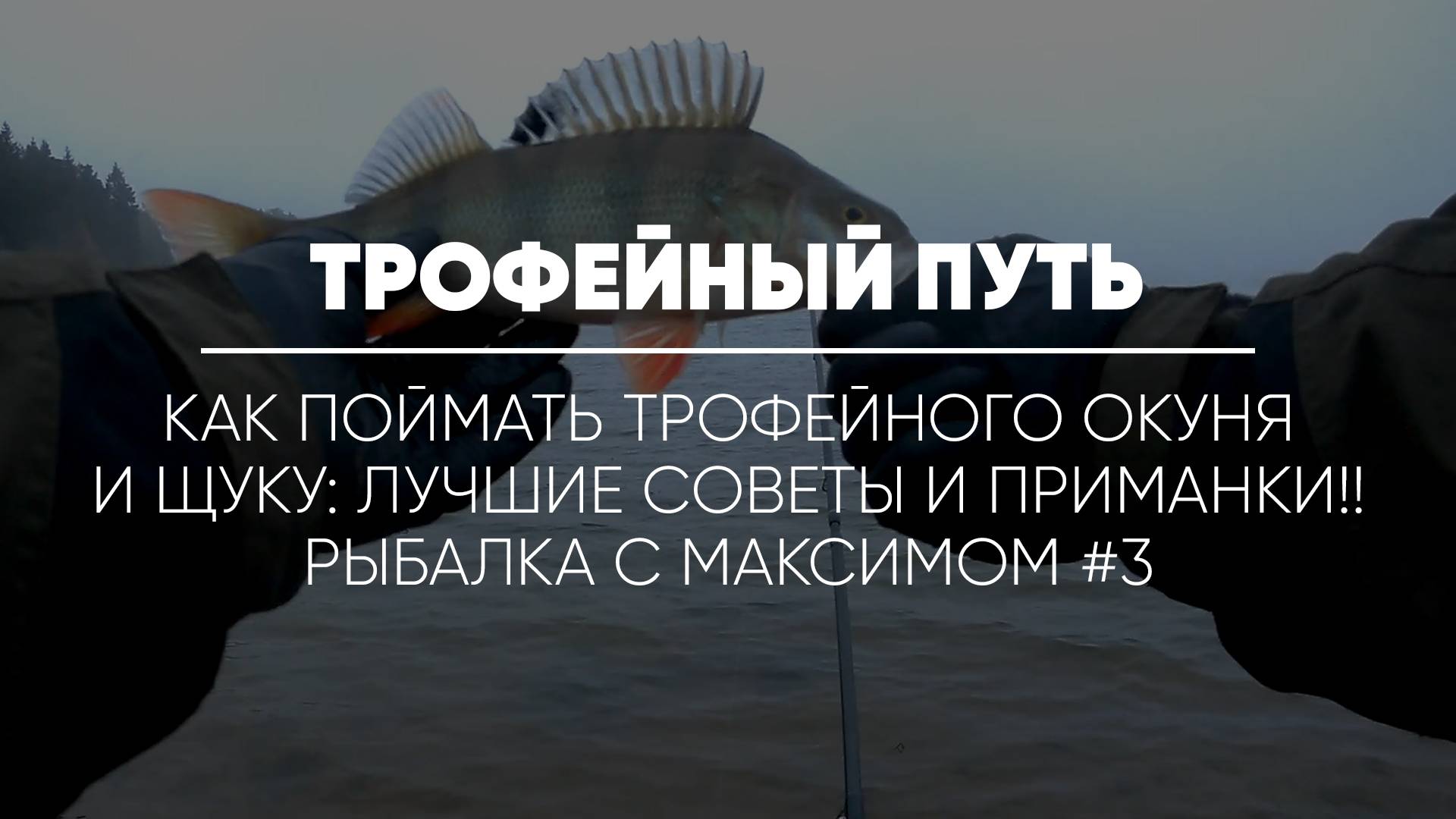 ТРОФЕЙНЫЙ ПУТЬ // Поймали трофейного окуня и щуку на спиннинг!! Рыбалка с Максимом #3