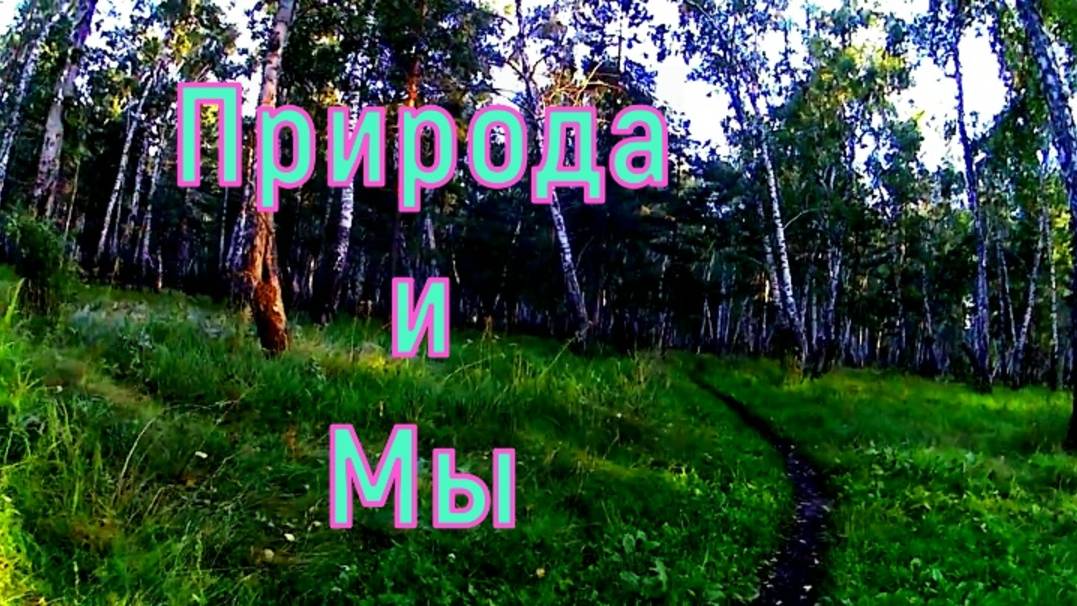 Катаемся на великах / досуг