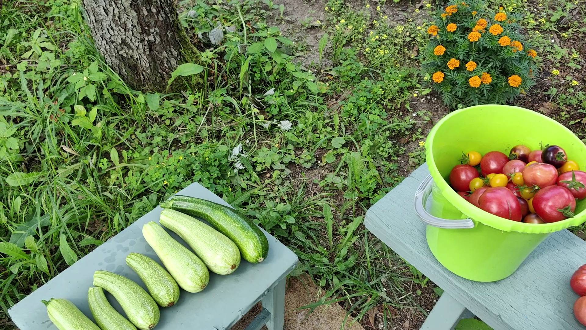 Дачный влог 13.08.2025г Нижний Новгород