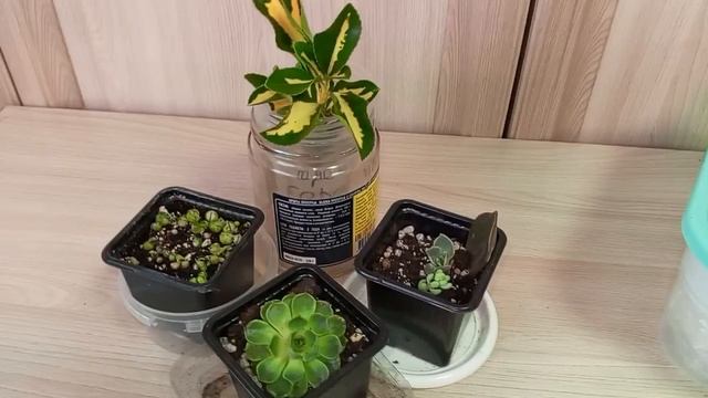 Посылка от Лены.❤️💚😊