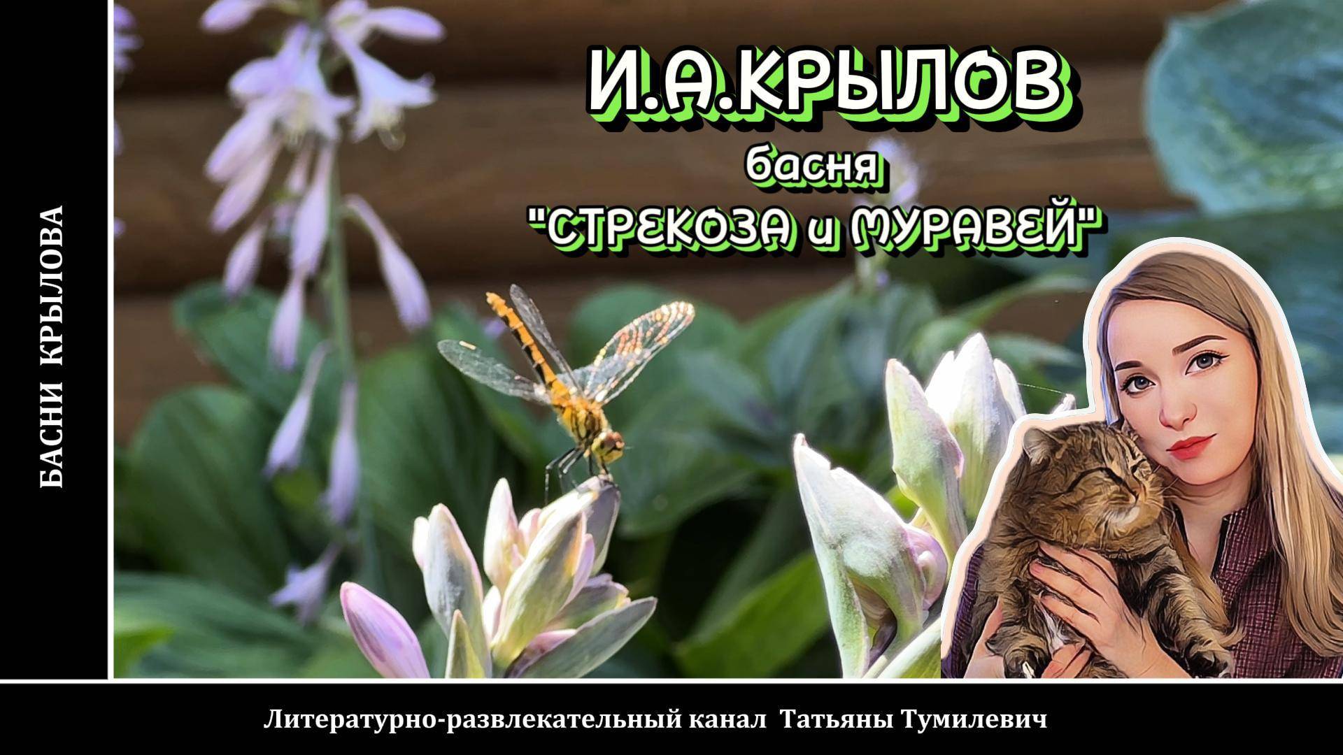 И.А.КРЫЛОВ басня "СТРЕКОЗА и МУРАВЕЙ". Читает Татьяна Тумилевич.