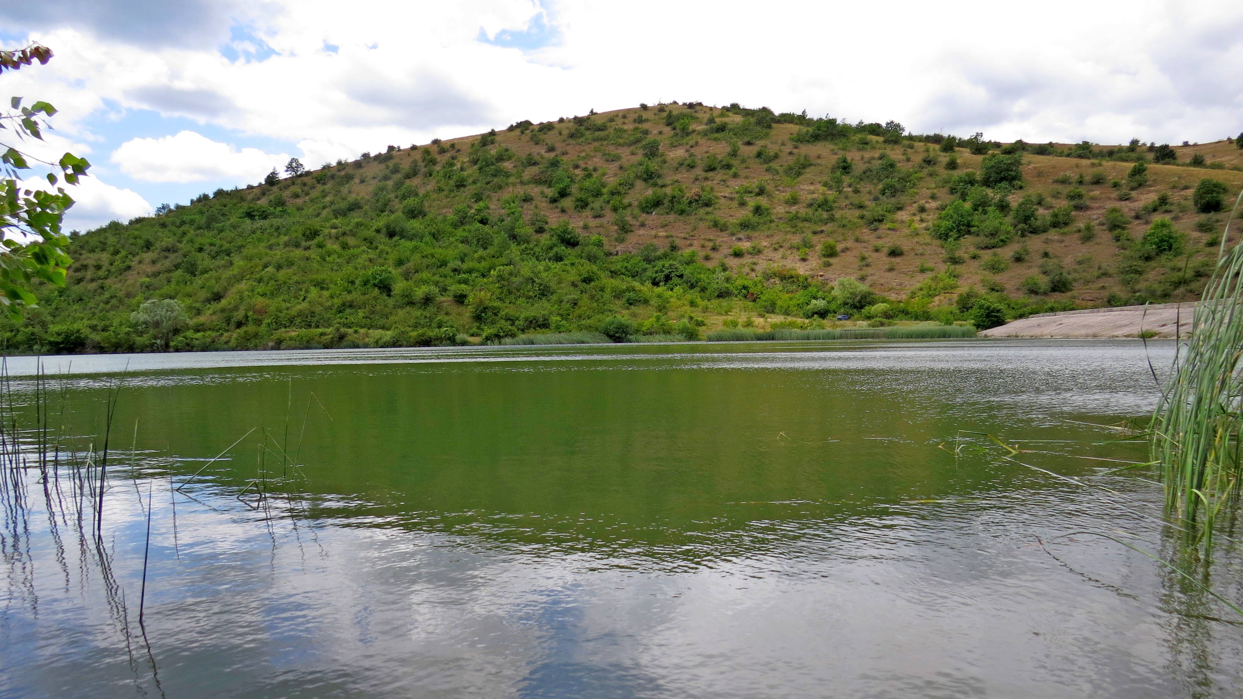Красивый июнь на Горлинском водохранилище.